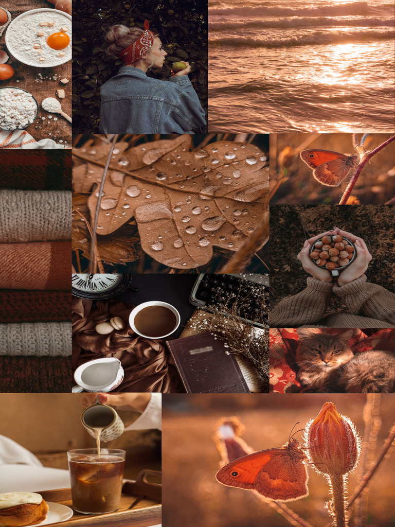 Wallpaper Aesthetic Elegante Marrom PDF | PDF