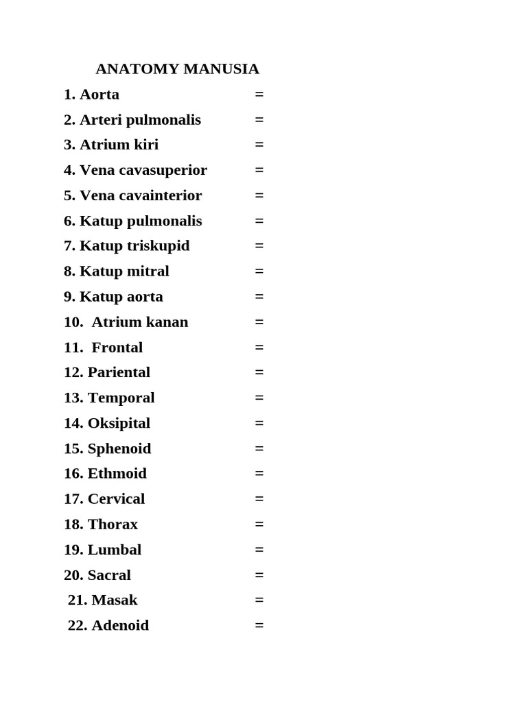 Anatomy Manusia | PDF