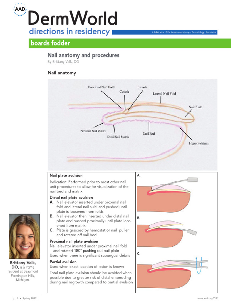 DIR Spring 2022 BF Nail Anatomy ONLINE | PDF | Integumentary System ...