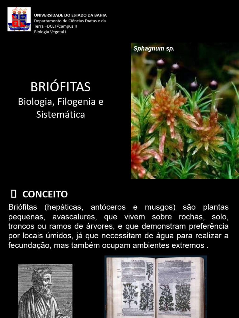 Briófitas: Biologia e Classificação | PDF | Musgo | Plantas