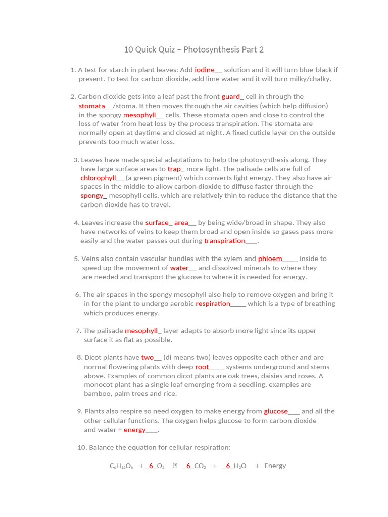 Key MS 10 Quick Quiz Photosynthesis Part 2 copy | PDF | Leaf | Stoma