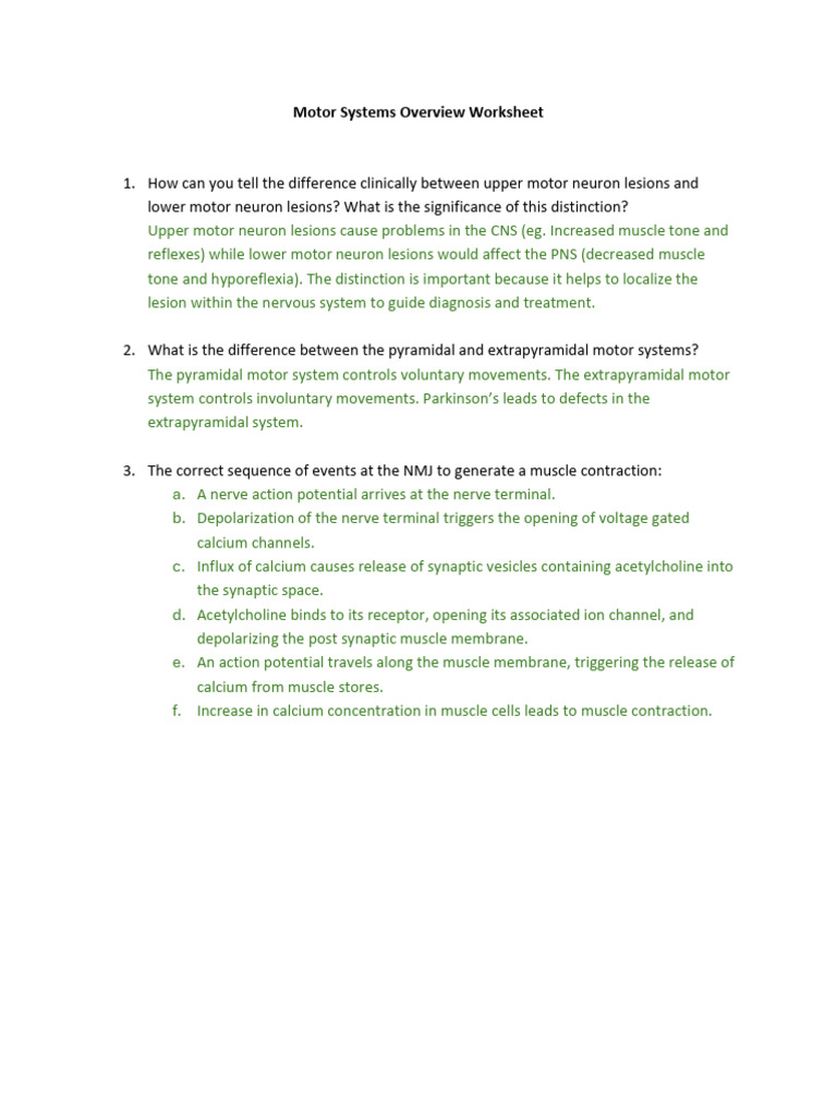 Motor Systems Overview Worksheet | PDF