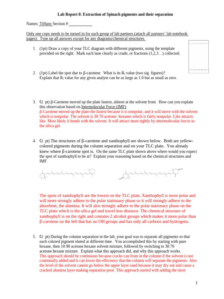 Lab Report 8 Separation of Pigments in Spinach Leaves | PDF | Thin ...