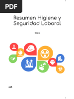 Ley de Higiene y Seguridad Laboral | PDF | Seguridad y salud ocupacional