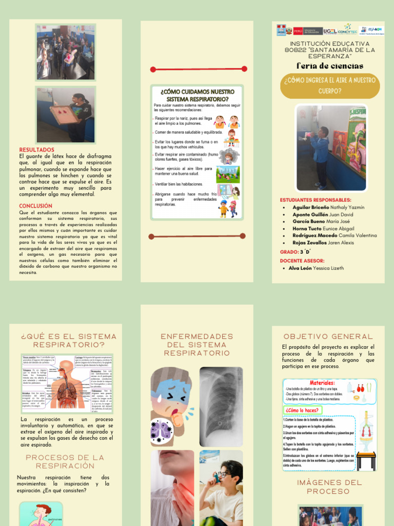 Feria de Ciencias Proyecto | PDF