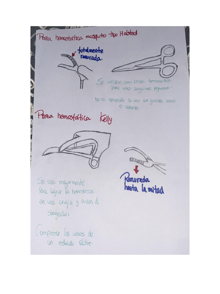 Dibujos Ciru II | PDF