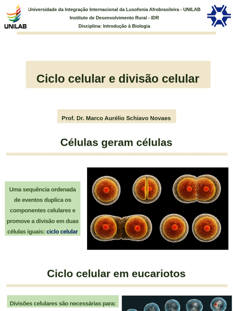Aula 8 - Ciclo Celular e Divisão Celular 2 | PDF | Meiose | Célula (Biologia)