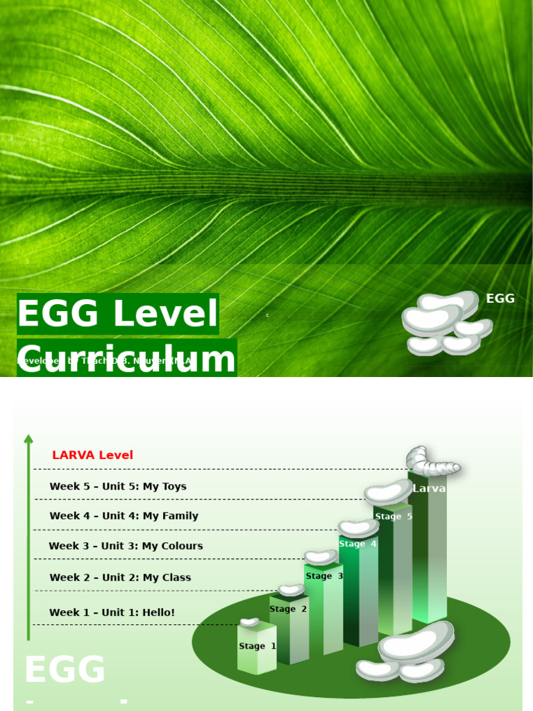 Class EGG | PDF | Toys