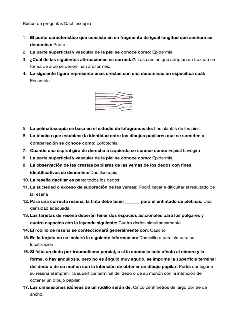 Bco Preg. Dactilos | PDF | Huella dactilar | Biometría