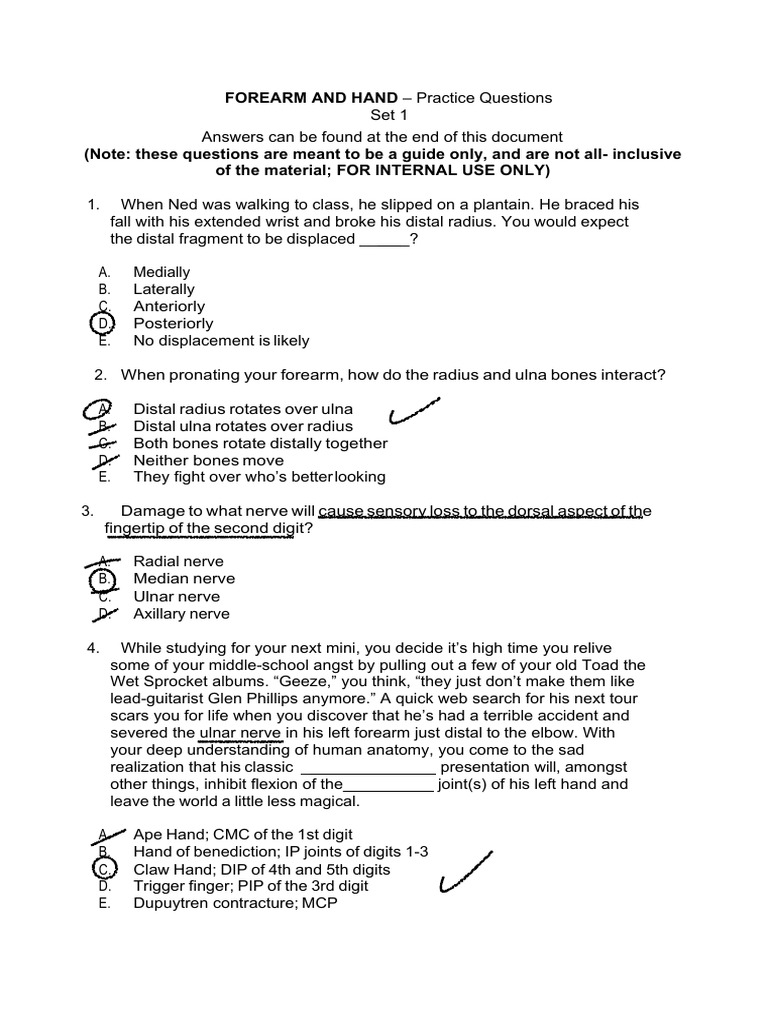 Hand Anatomy Practice Questions | PDF | Thumb | Hand