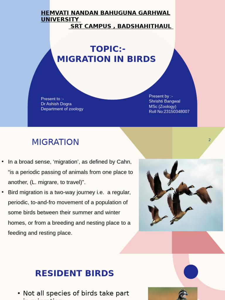 Migration in Birds | PDF | Bird Migration | Birds