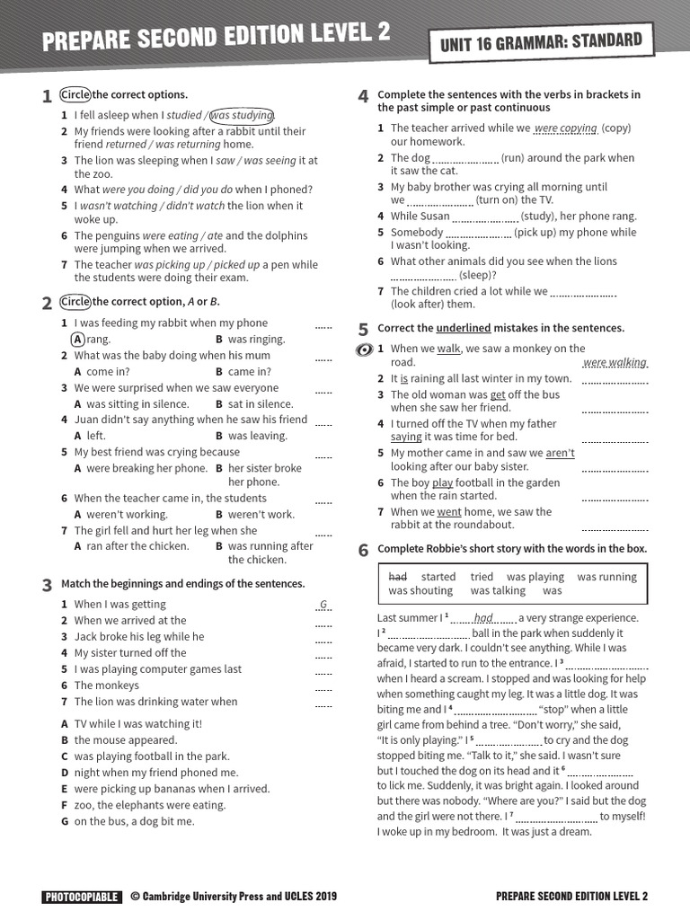 Past Continuous Grammar Exercises | PDF