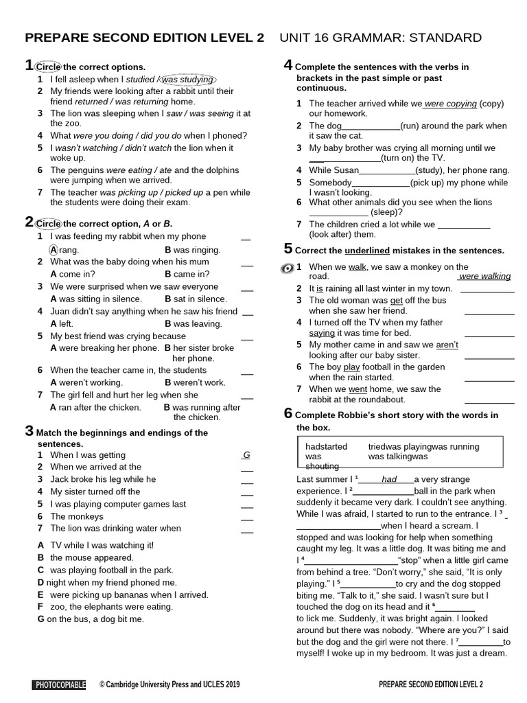 Level 2 Grammar Practice: Past Tenses | PDF