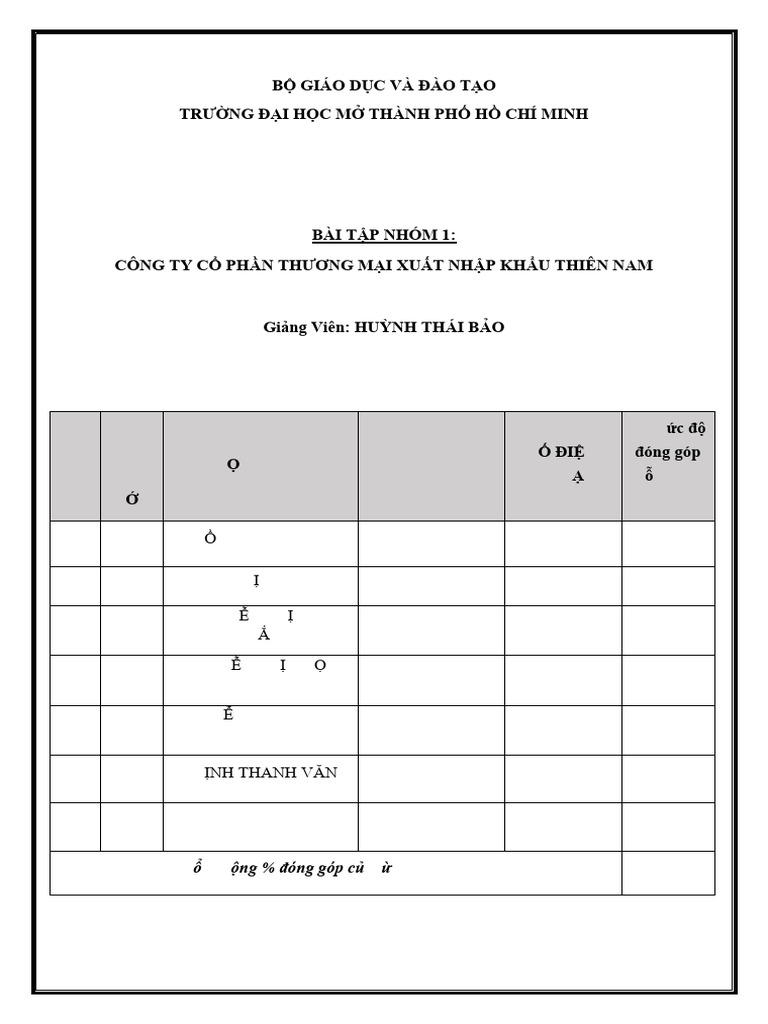 PTBCTC - BÀI TẬP NHÓM - CÔNG TY THIÊN NAM-NHÓM 1 | PDF