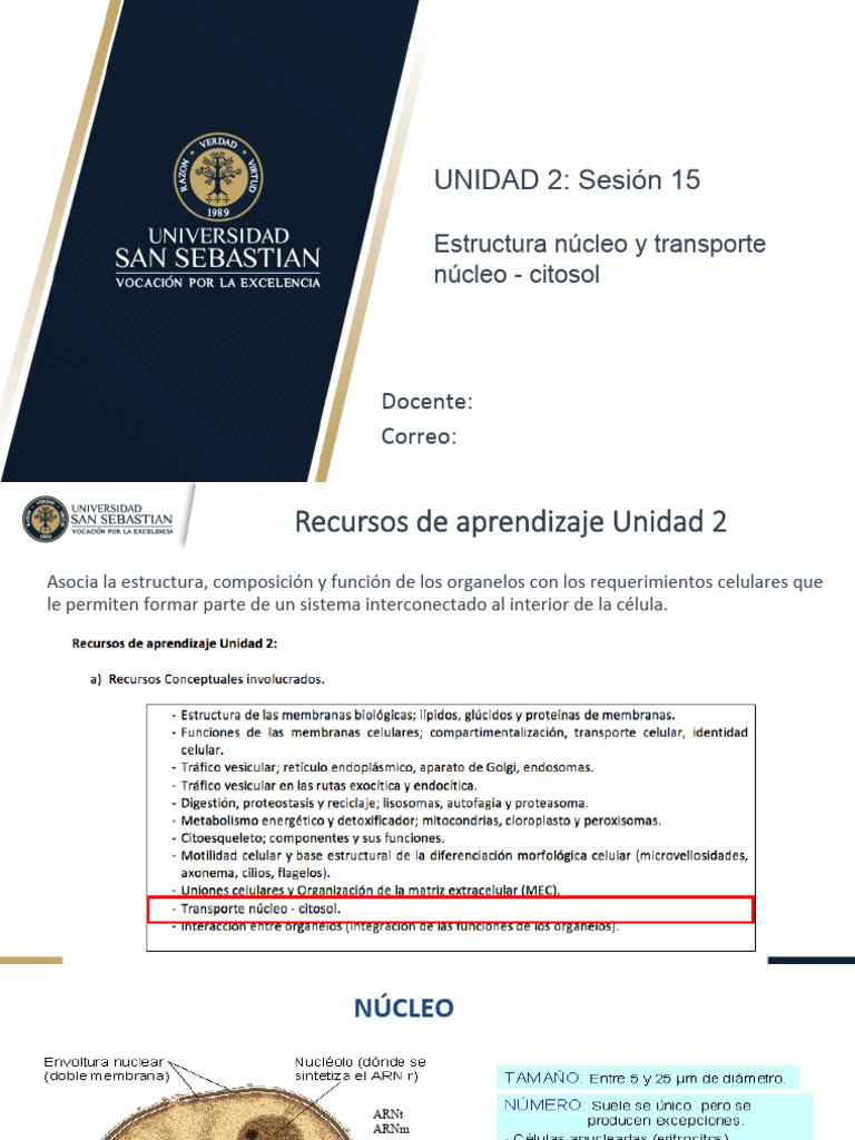 Unidad 2 Sesión 15 - Estructura y Transporte Nuclear - 202310 | PDF ...