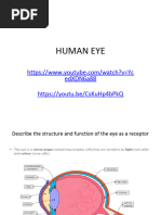 Grade 12 Life Science The Eye | PDF | Eye | Myopia