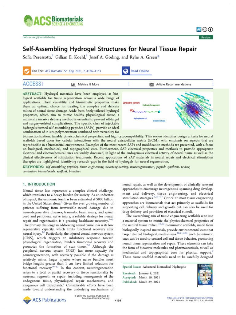 Self-Assembling Hydrogel Structures For Neural Tissue Repair | PDF ...