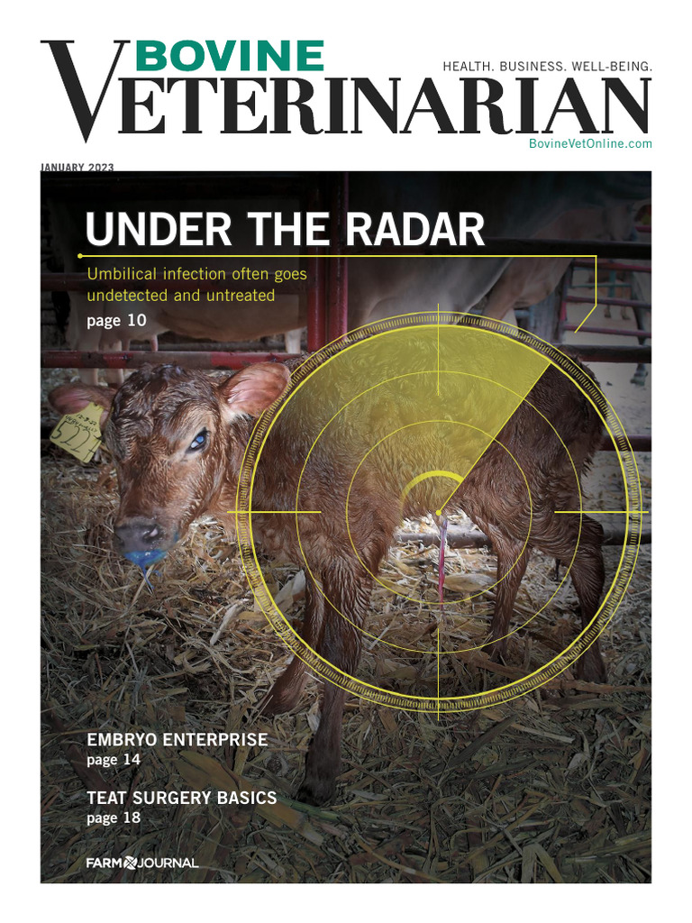 BOVINE VET Magazine Jan 2023 - 230112 - 080108 | PDF | Cattle | Mentorship