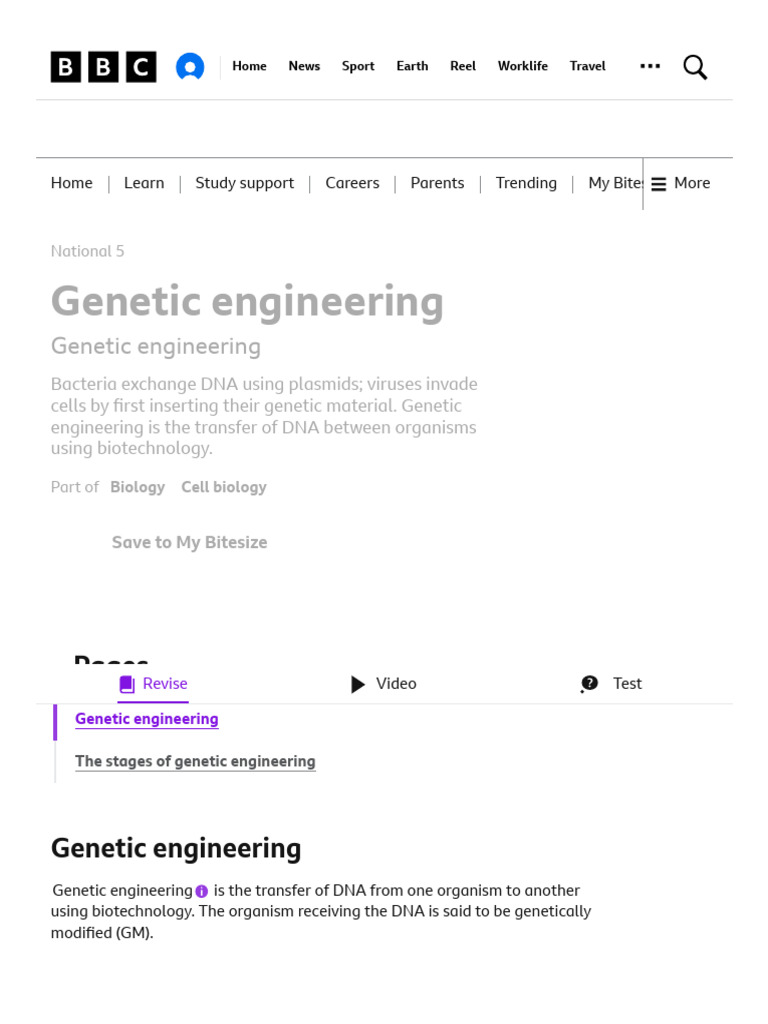 Genetic Engineering Basics Explained | PDF