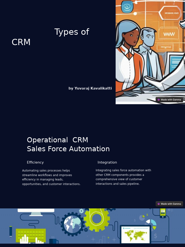 CRM Strategy Overview and Insights | PDF