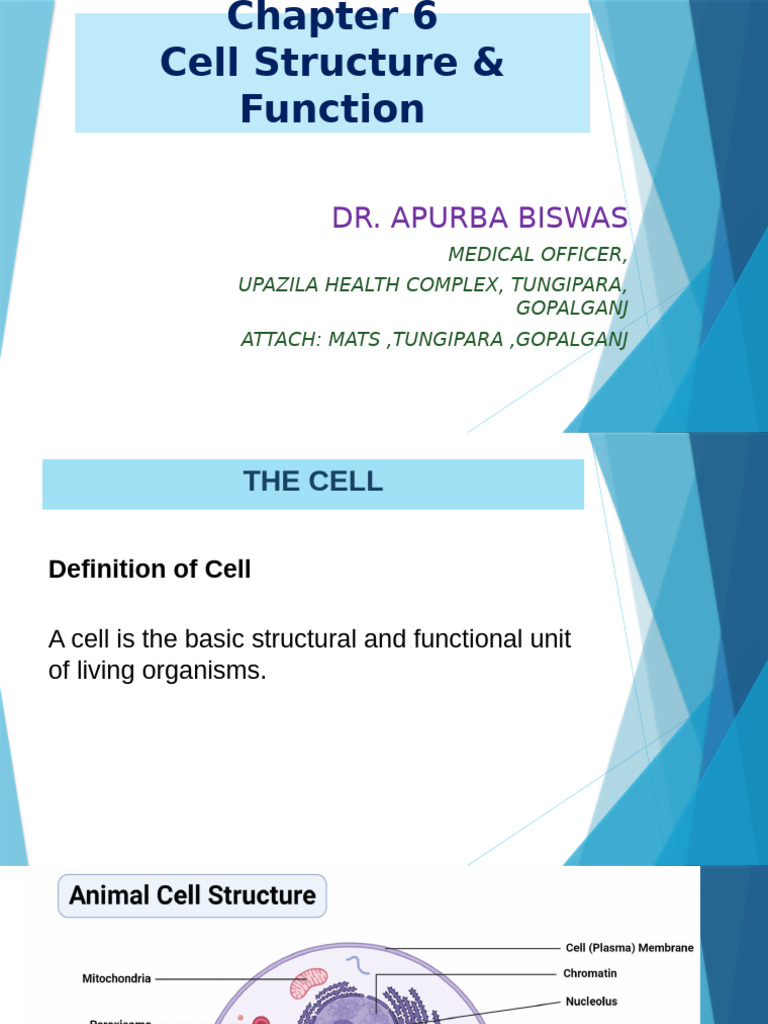 Cell Structure | PDF | Mitosis | Meiosis
