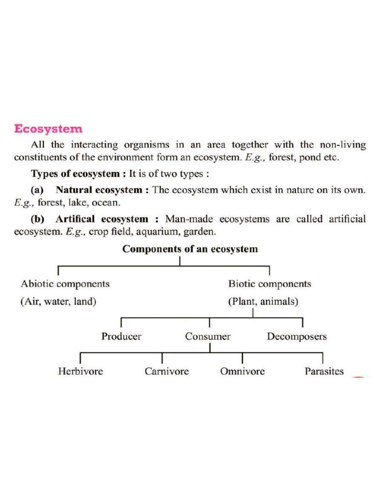 class 10 Our Environment | PDF