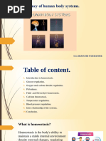 Homeostasis Notes Grade 12 | PDF | Homeostasis | Kidney