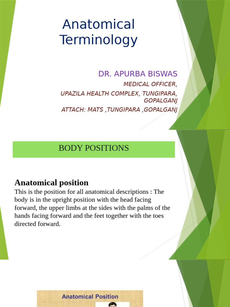 Anatomical Terminology | PDF | Anatomical Terms Of Motion | Anatomical ...
