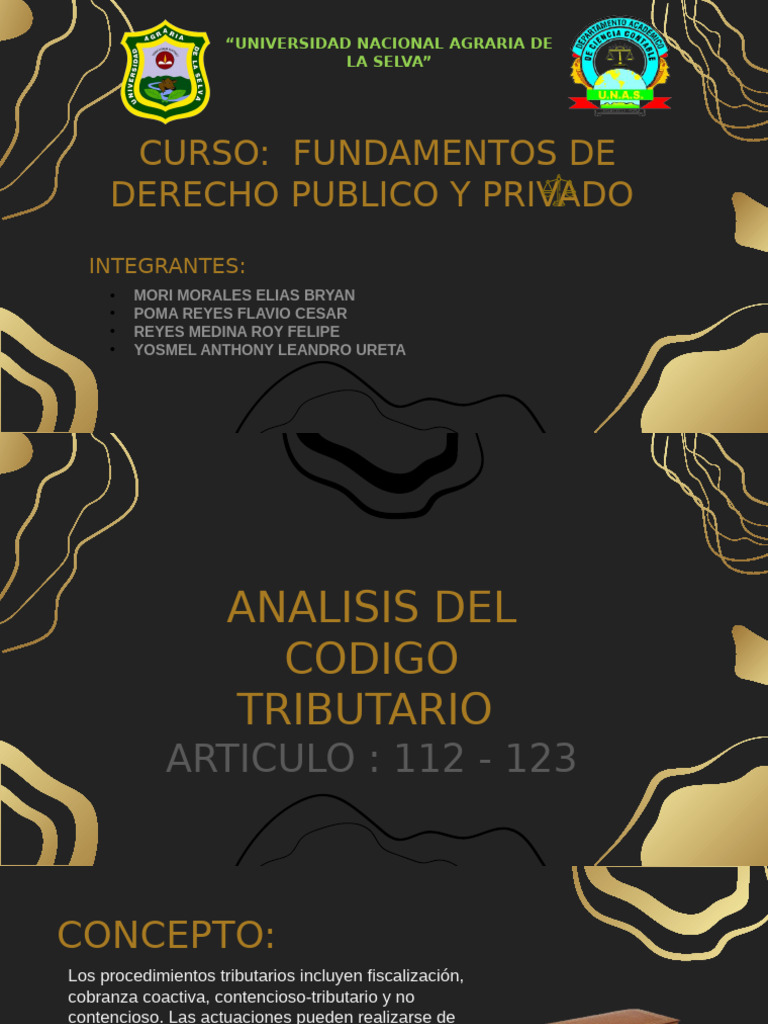 Análisis del Código Tributario Peruano | PDF | Pagos | Contabilidad
