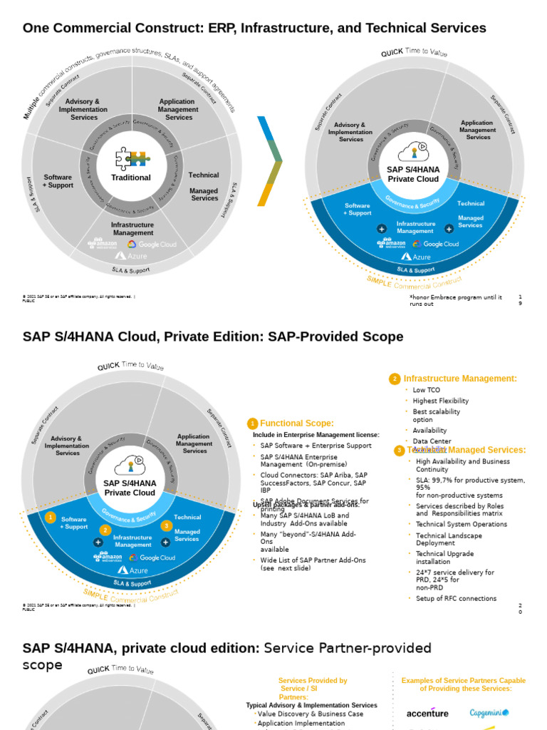 210204_rise_with_sap | PDF | Cloud Computing | Application Software