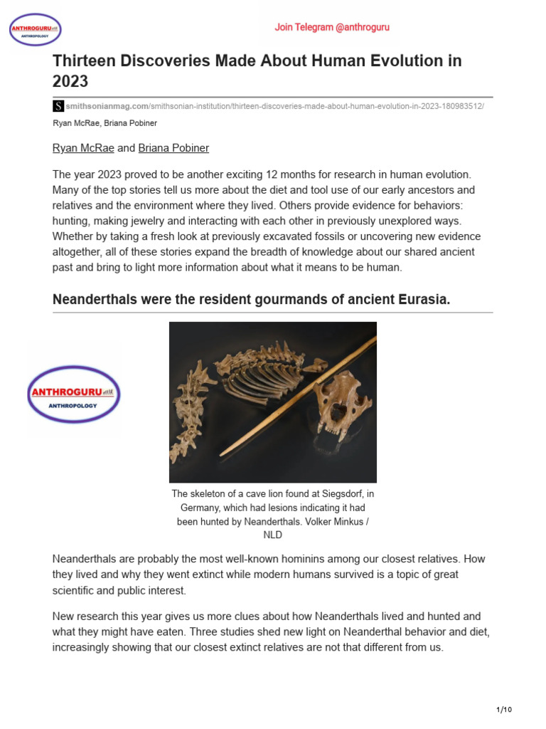 Imp discoveries in 2023 about human evolution | PDF | Neanderthal ...