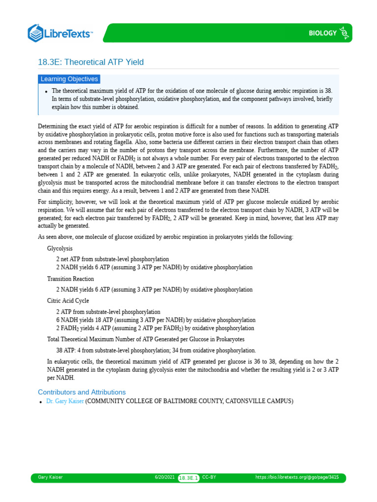 18.3E - Theoretical ATP Yield | PDF | Adenosine Triphosphate | Cellular ...