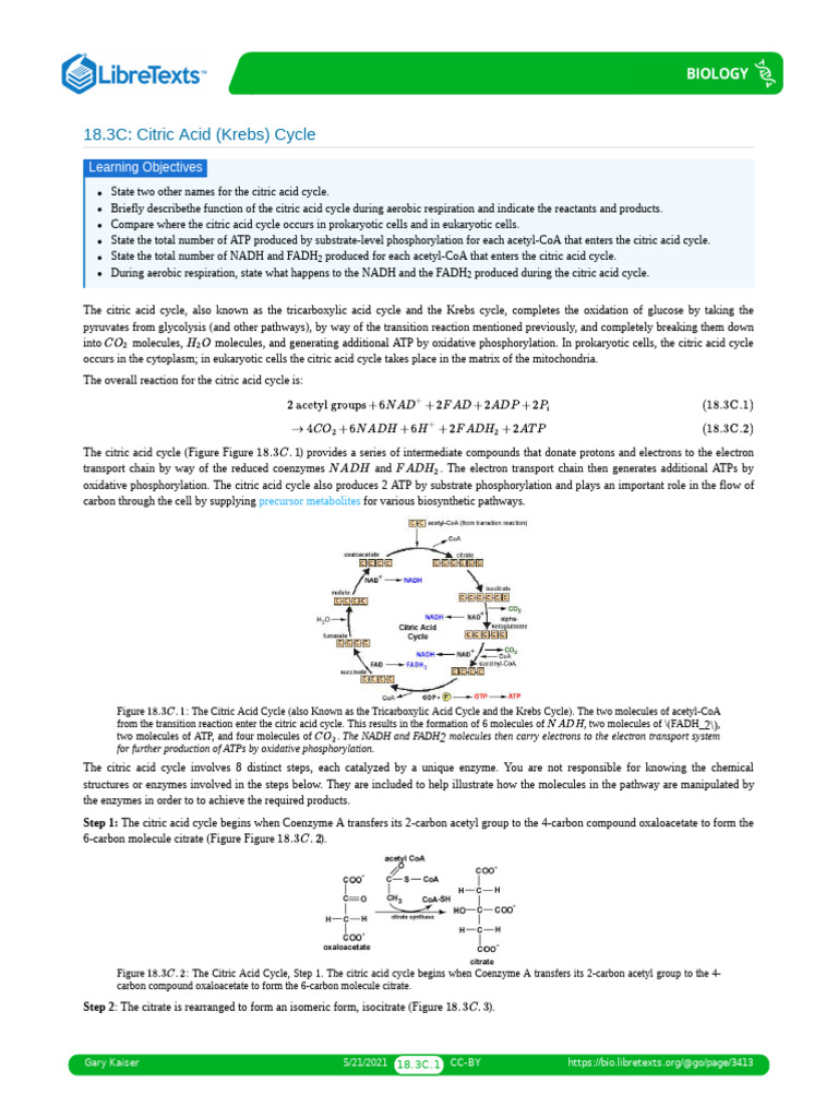18.3C - Citric Acid (Krebs) Cycle | PDF | Chemistry | Citric Acid Cycle