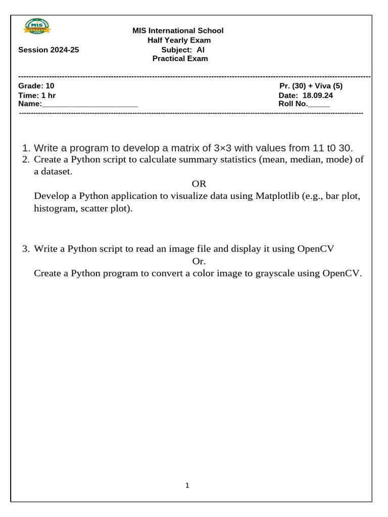 Grade 10 AI - Term1 - PracticalExam | PDF