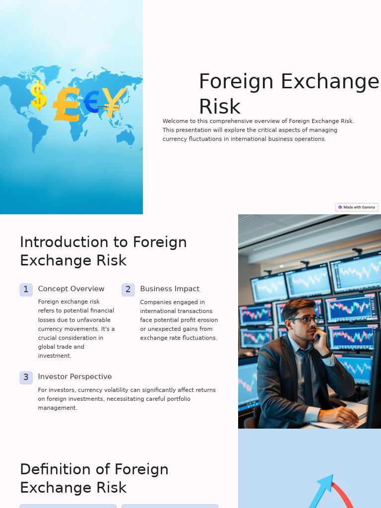 Foreign Exchange Risk | PDF | Financial Risk | Risk