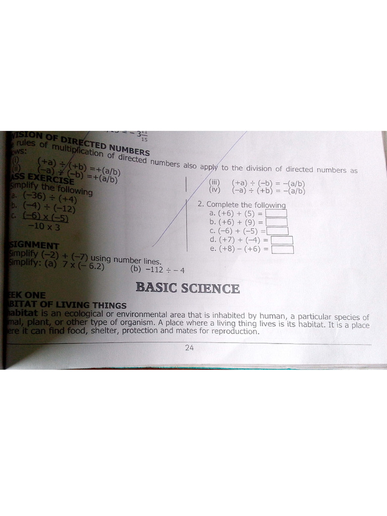 JS 2 BASIC SCIENCE | PDF