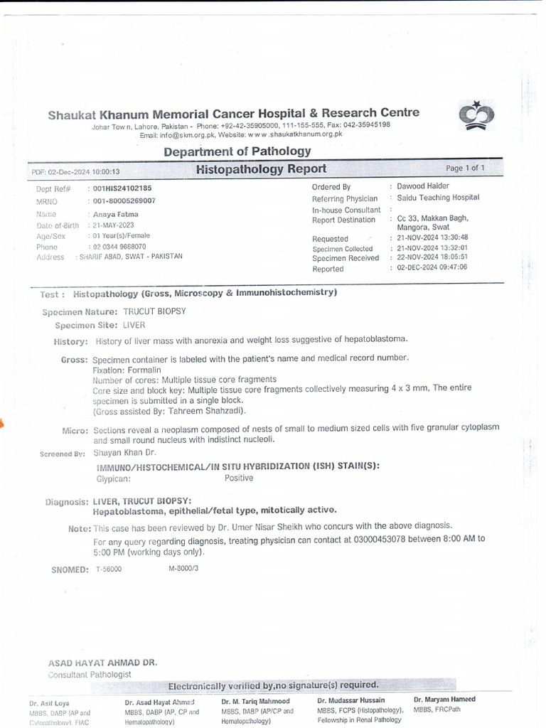 ANAYA FATIMA DOC's | PDF