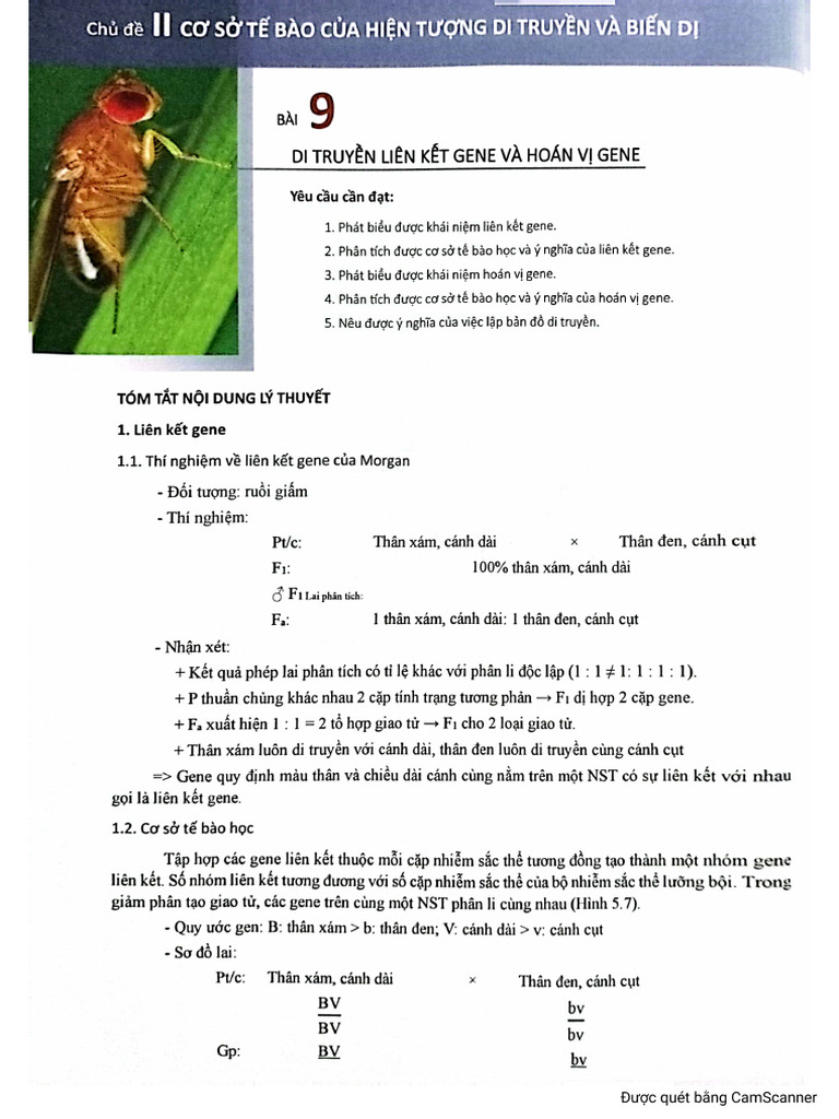 Bài 9.Hoán vị gen và di truyền liên kết | PDF