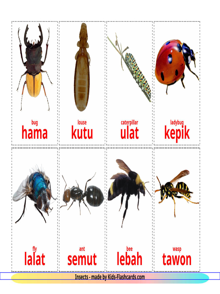 Insects 8 A4 | PDF