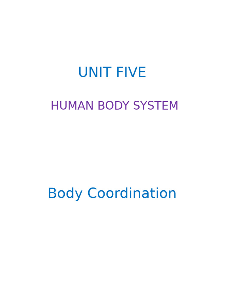 Unit Five | PDF