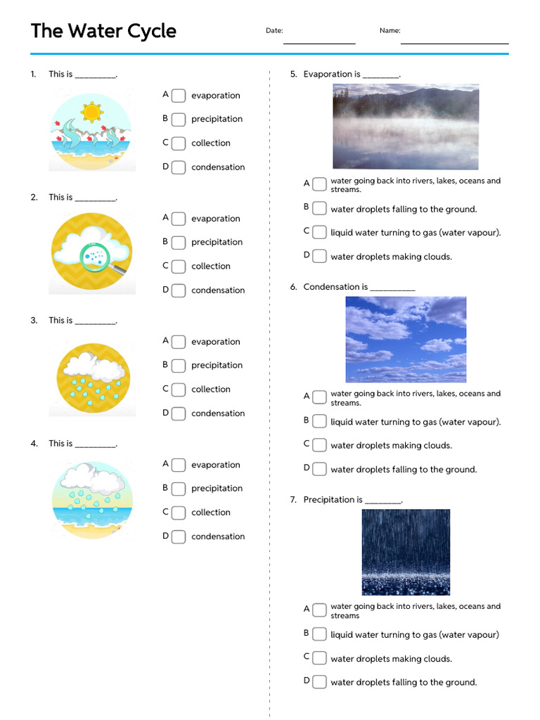 the-water-cycle-quiz | PDF | Precipitation | Water Vapor