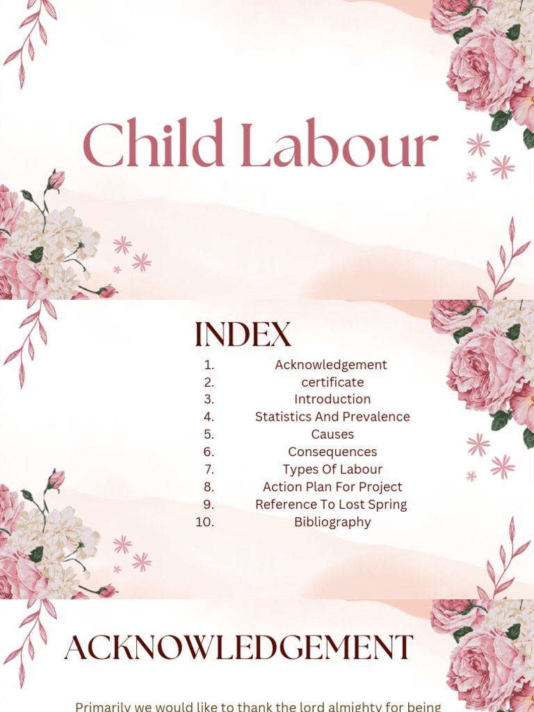 ENGLISH ASL PROJECT FILE | PDF | Child Labour | International Labour ...