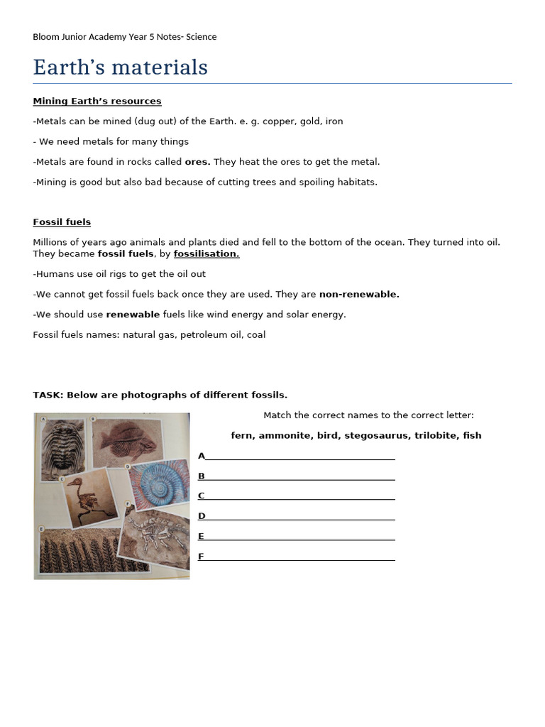 Year 5 Science: Earth's Resources & Fossils | PDF