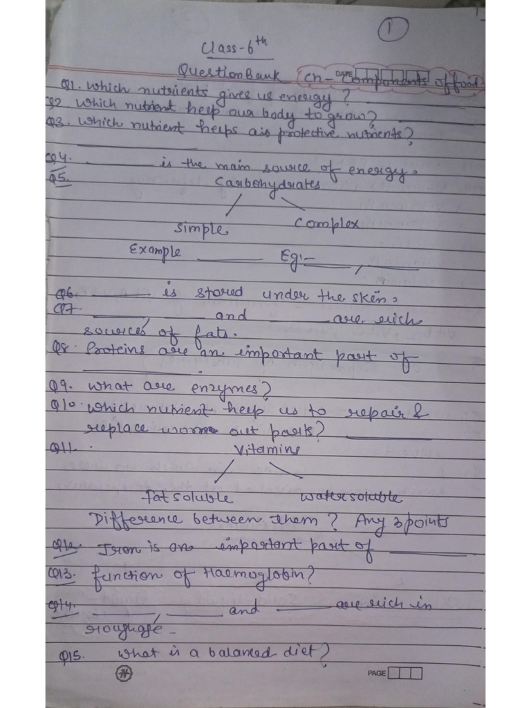 Question Bank of All The Chapters Class6 | PDF