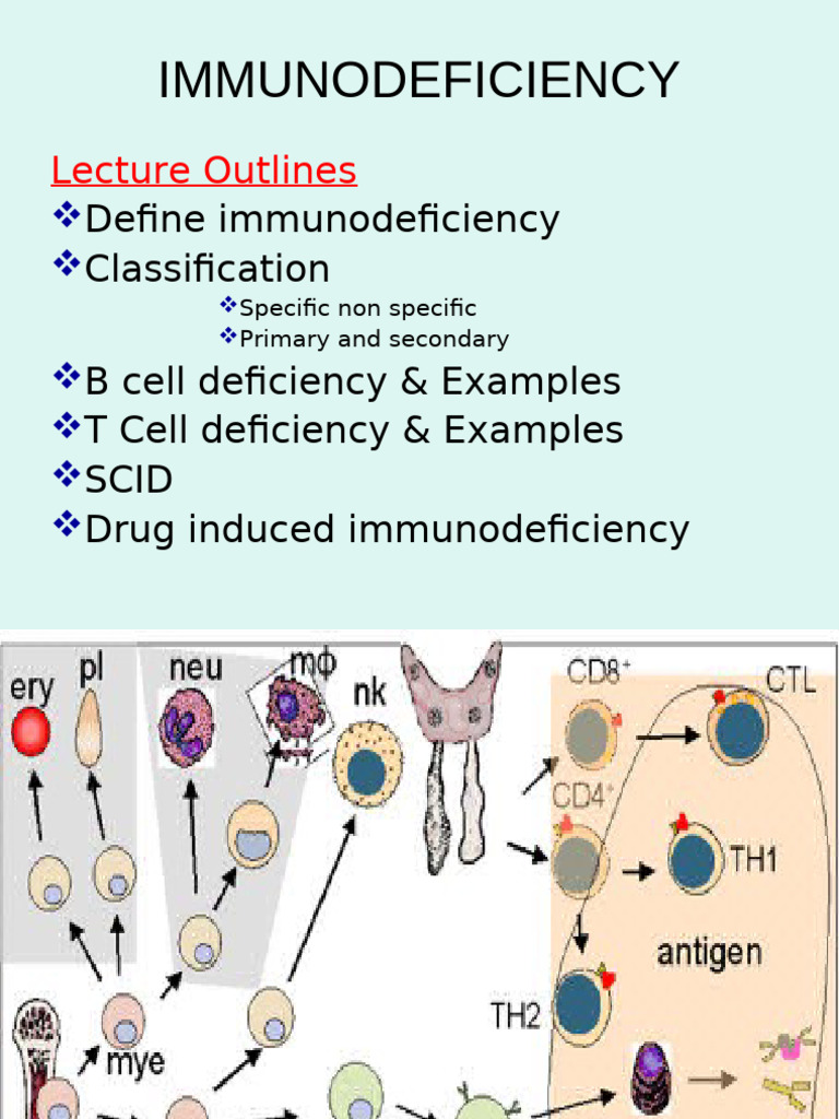 IMMUNODEFICIENCY Disorders | PDF | Immunodeficiency | Lymphocyte