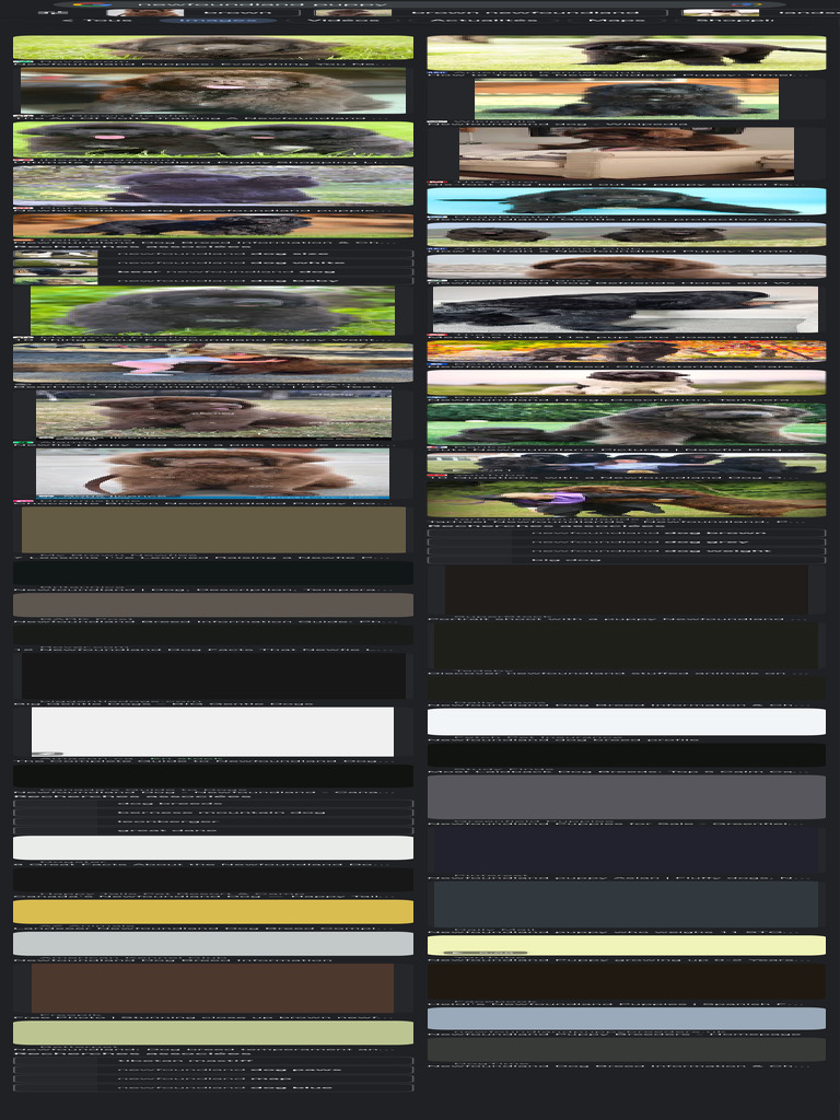 Newfoundland Puppy - Recherche Google | PDF | American Kennel Club | Dogs