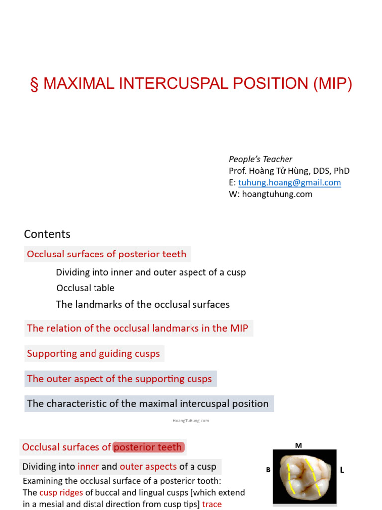 4. Maximal Intercuspal Position.pdf | PDF | Dentistry | Mouth