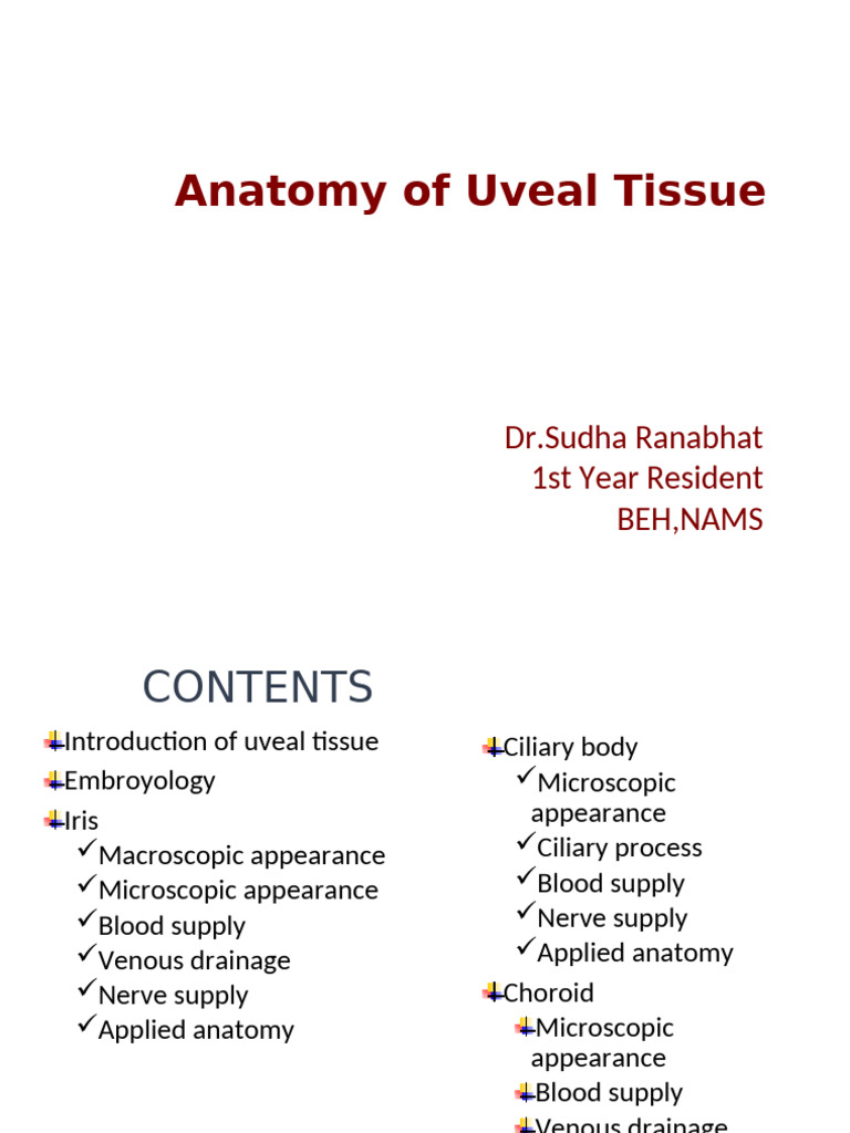Anatomy of Uveal Tissue Overview | PDF | Vein | Human Eye