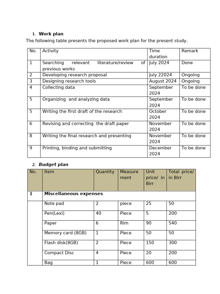 Work & plan | PDF | Computing