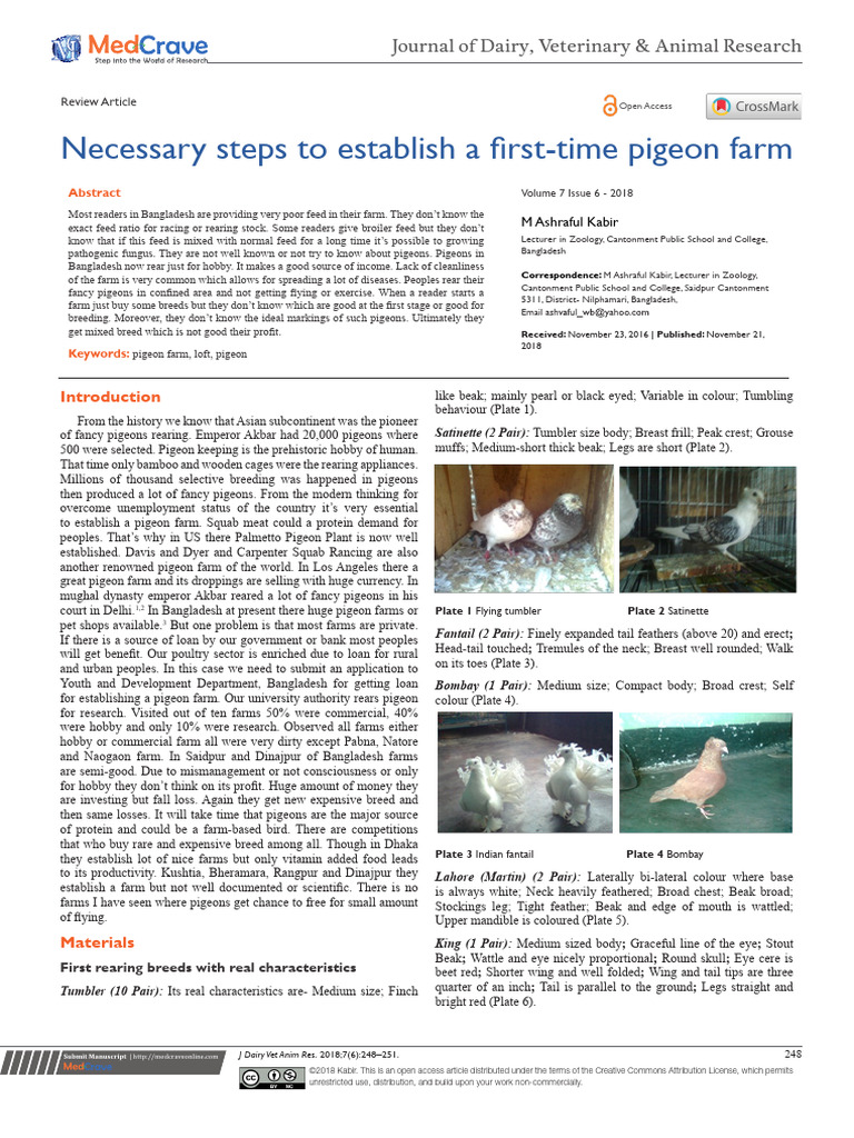 Necessary Steps To Establish A First-Time Pigeon F | PDF | Beak | Birds